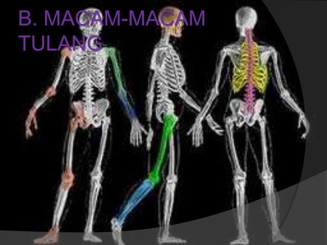 Sistem gerak pada manusia | PPTX