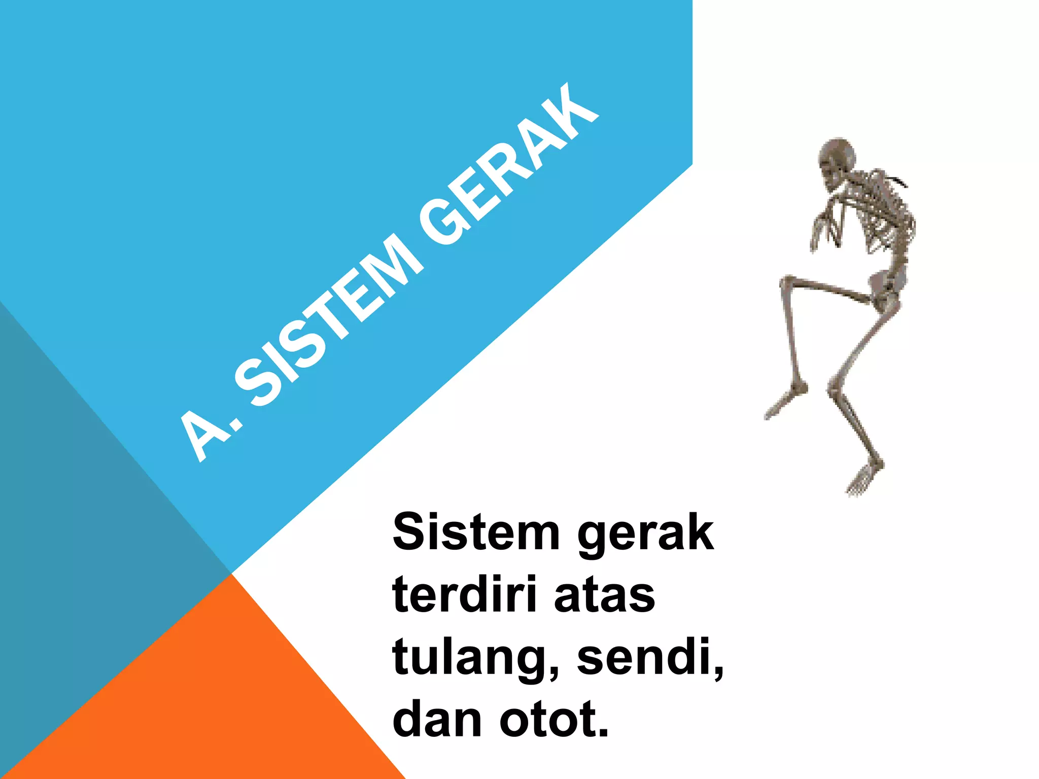 Sistem gerak pada manusia | PPTX