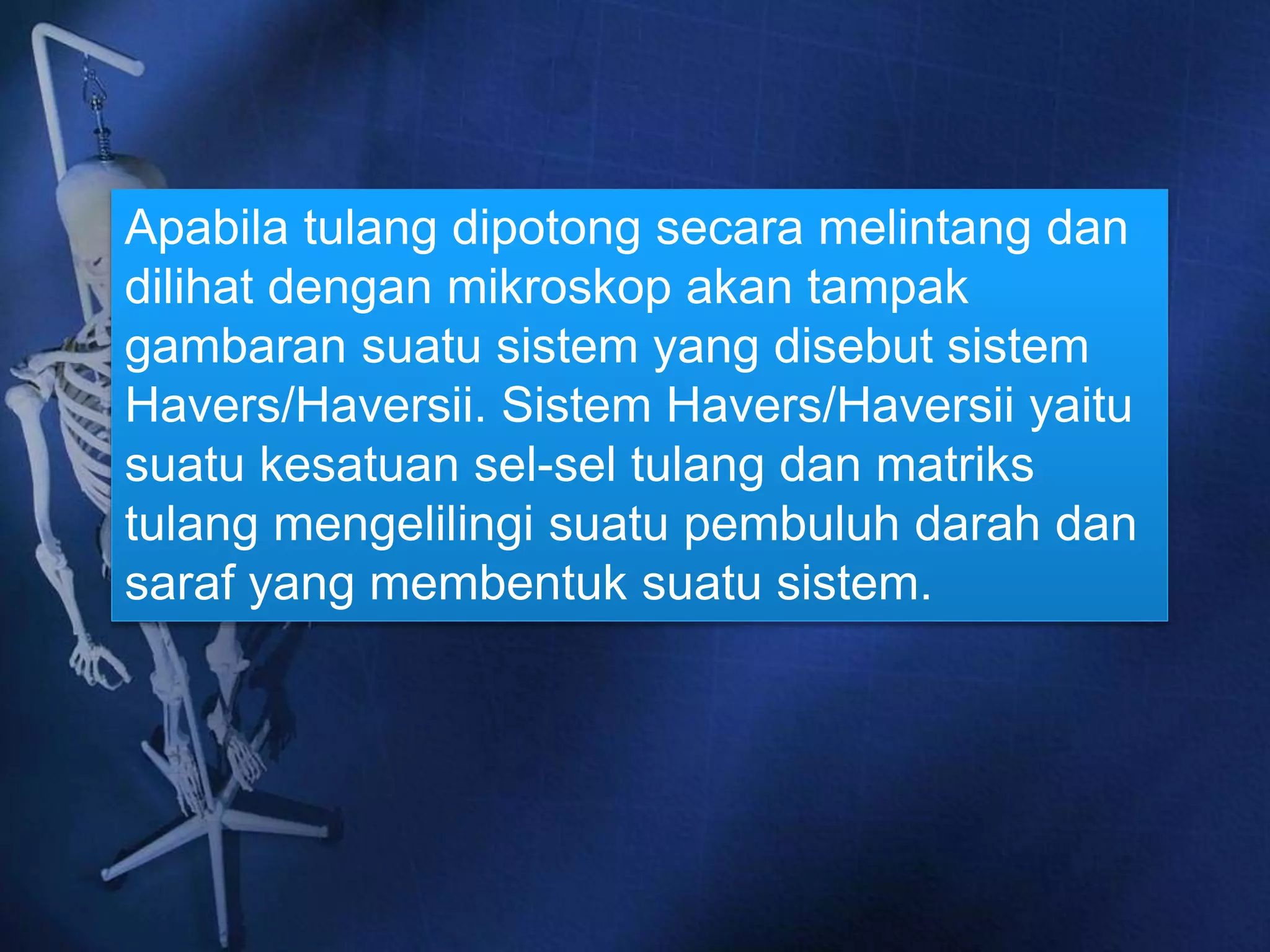 Sistem gerak pada manusia | PPTX