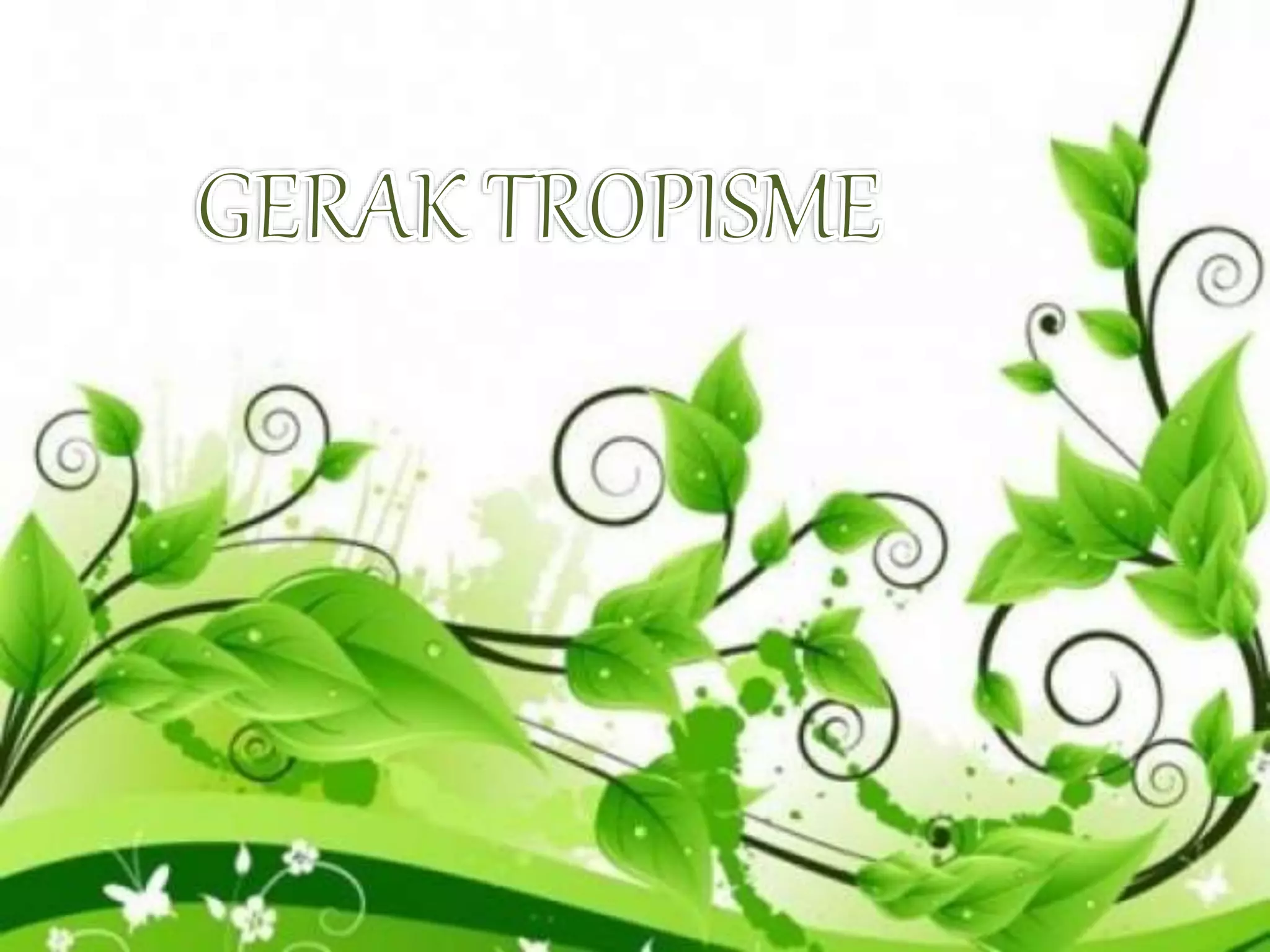 Sistem Gerak Pada Tumbuhan (IPA KELAS VIII) | PPTX