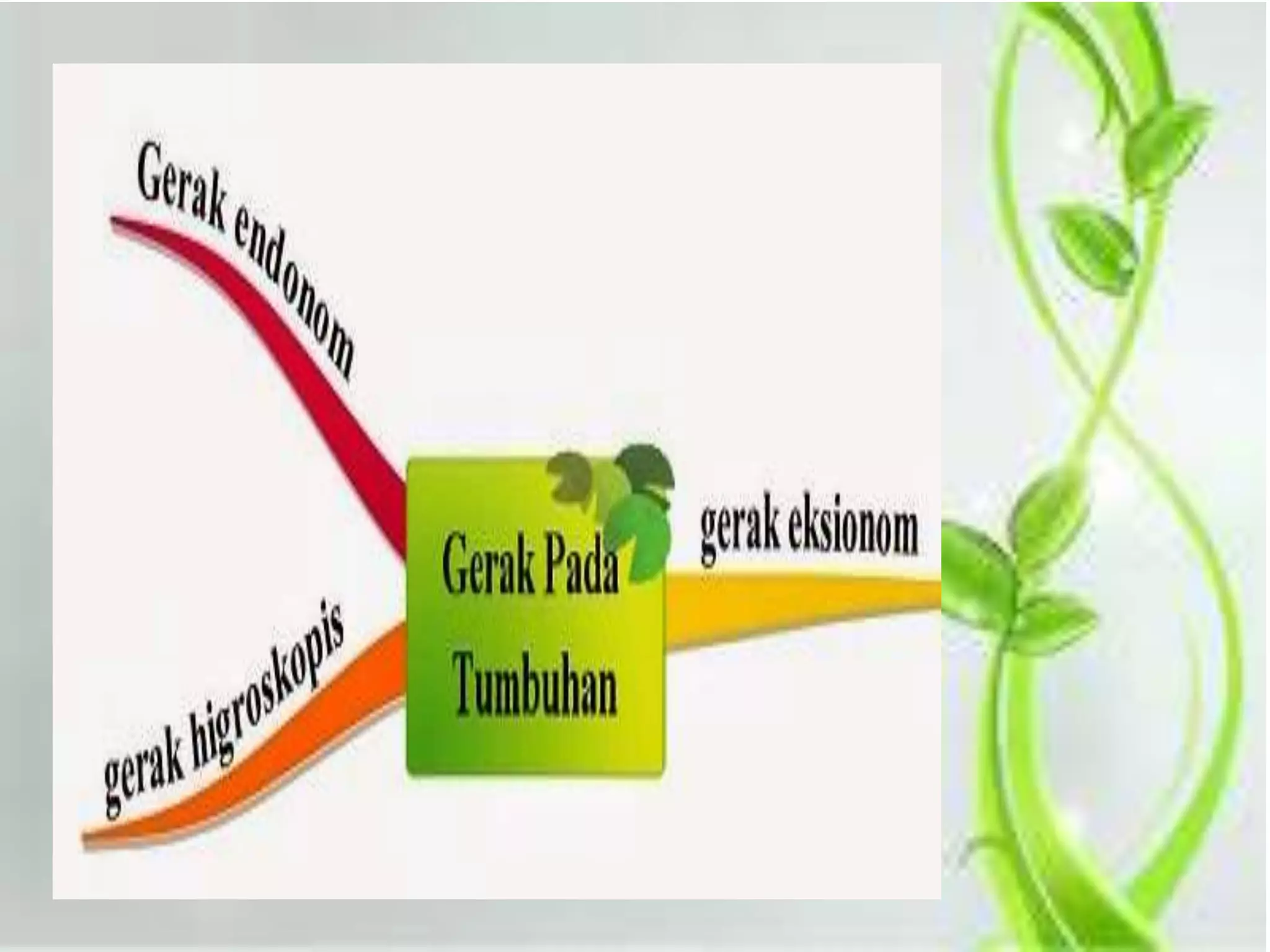 Sistem Gerak Pada Tumbuhan (IPA KELAS VIII) | PPTX