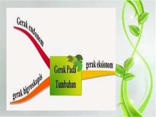 Sistem Gerak Pada Tumbuhan (IPA KELAS VIII) | PPTX