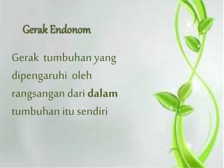 Sistem Gerak Pada Tumbuhan (IPA KELAS VIII) | PPTX