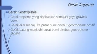 Sistem gerak pada tumbuhan | PPTX
