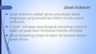 Sistem gerak pada tumbuhan | PPTX