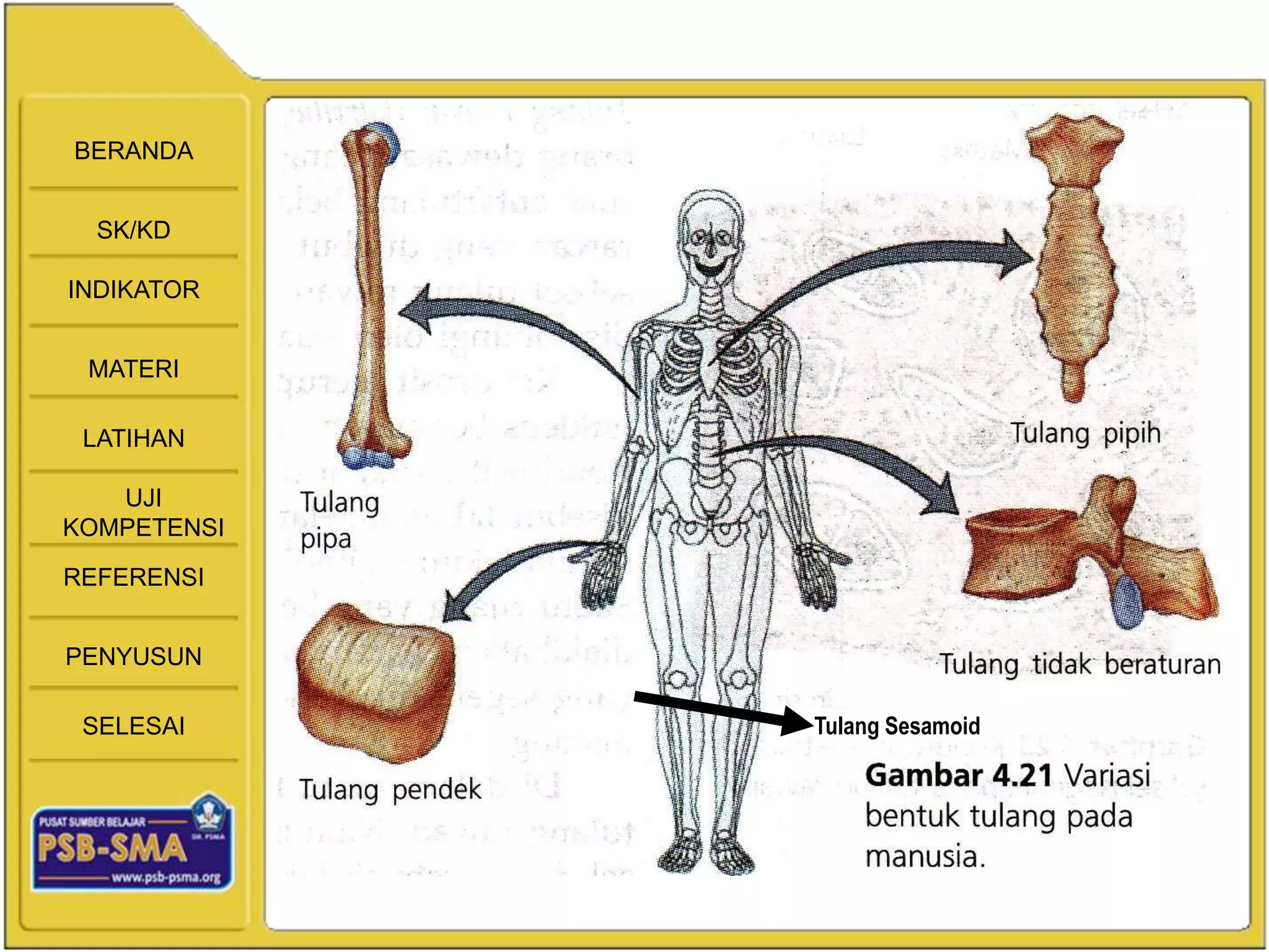 SISTEM_GERAK_XI_IPA.ppt