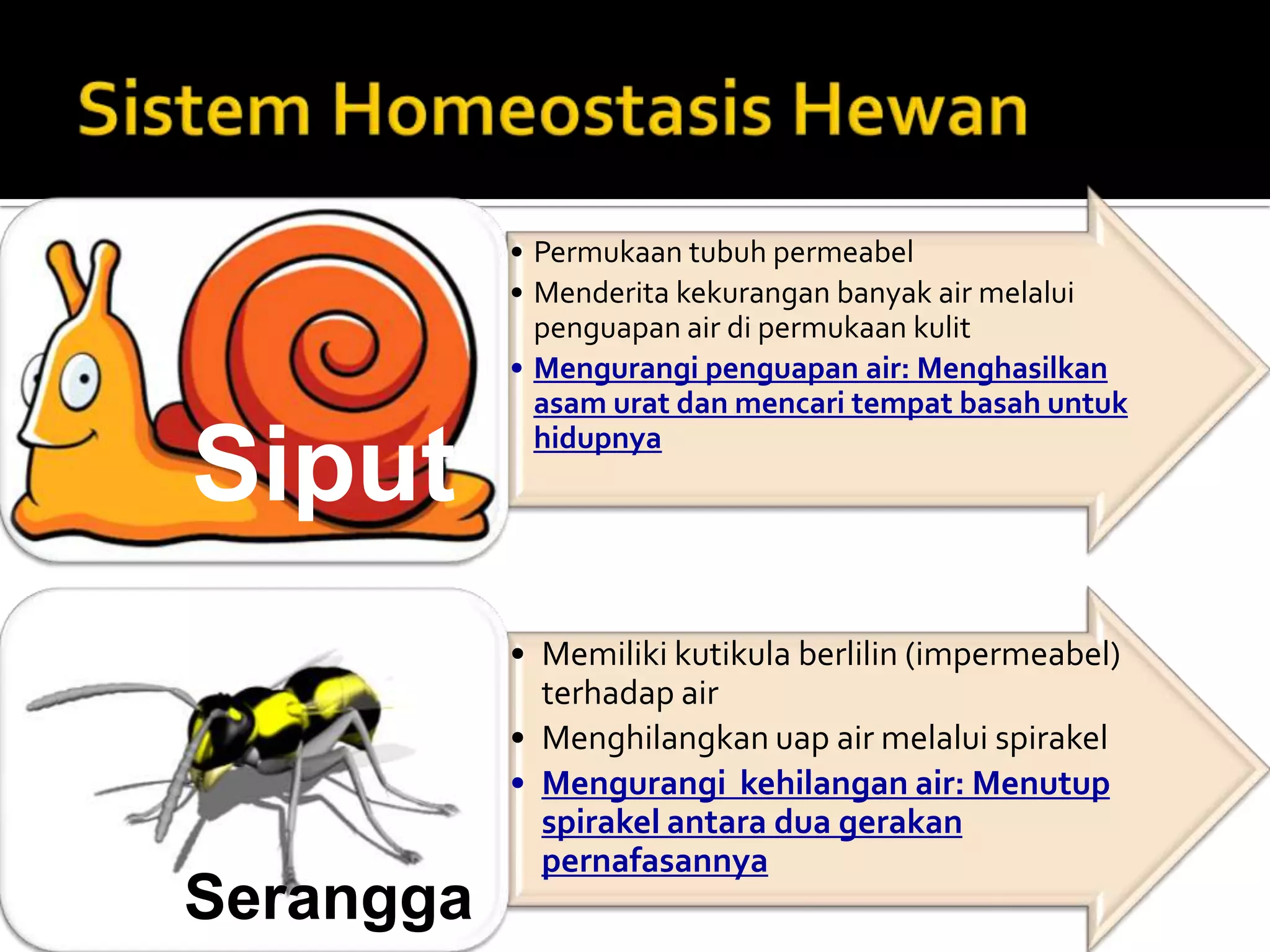Sistem homeostatis hewan dan tumbuhan | PPTX