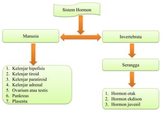 Sistem hormon | PPTX