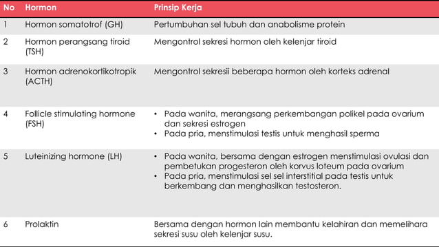 Sistem hormon | PPTX