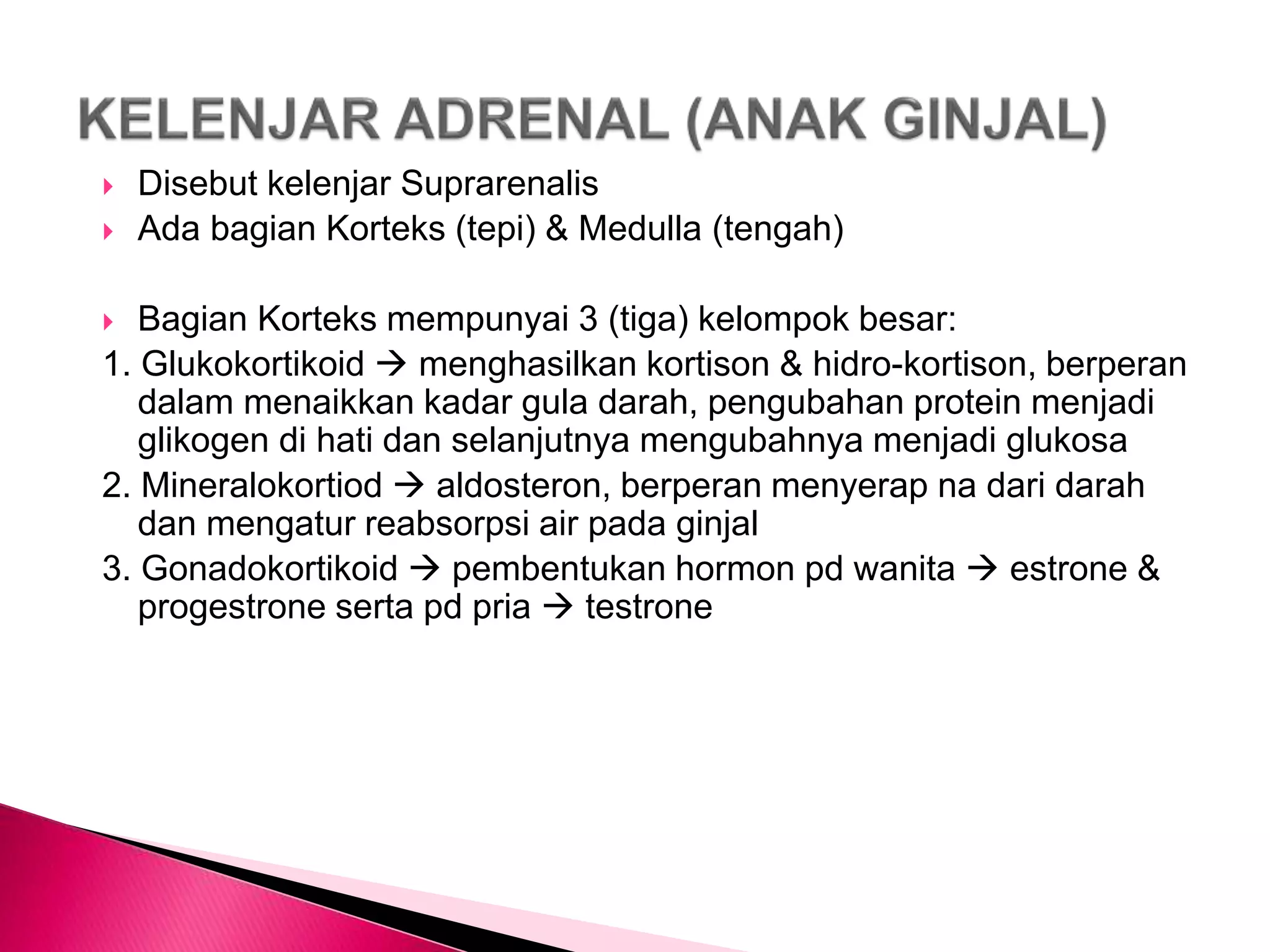 Sistem hormon manusia | PPTX