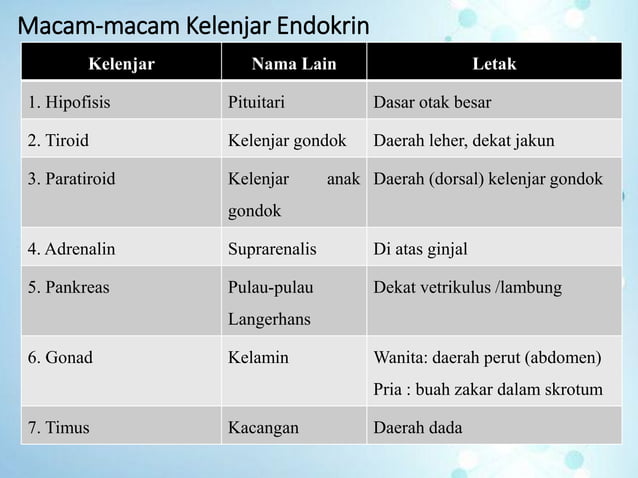 Sistem Hormon pada Manusia Mapel Biologi Kelas 11 | PDF
