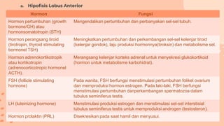 SISTEM HORMON- KEL 1 XI MIPA 2-B.pptx