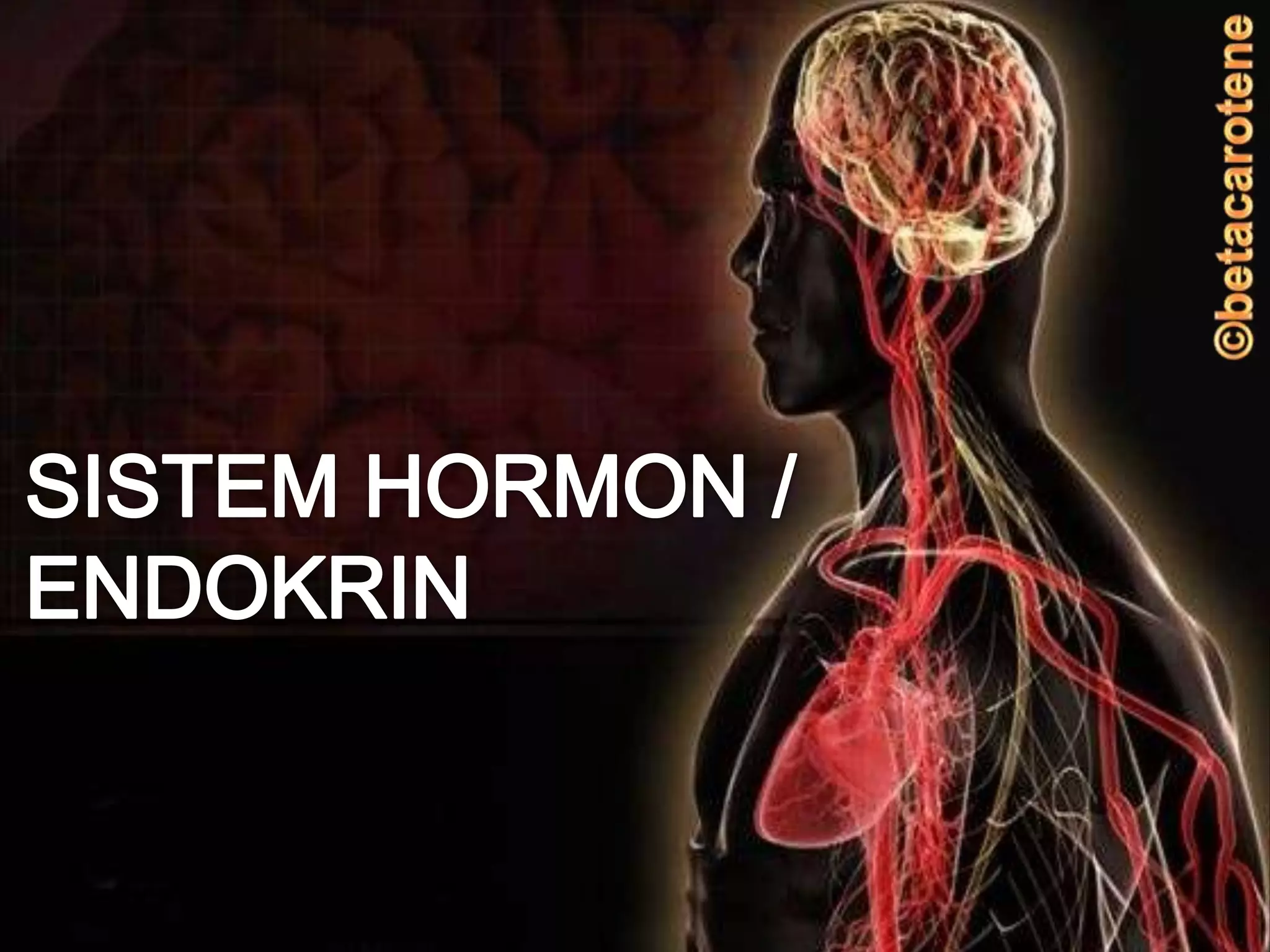 SISTEM HORMON | PPTX
