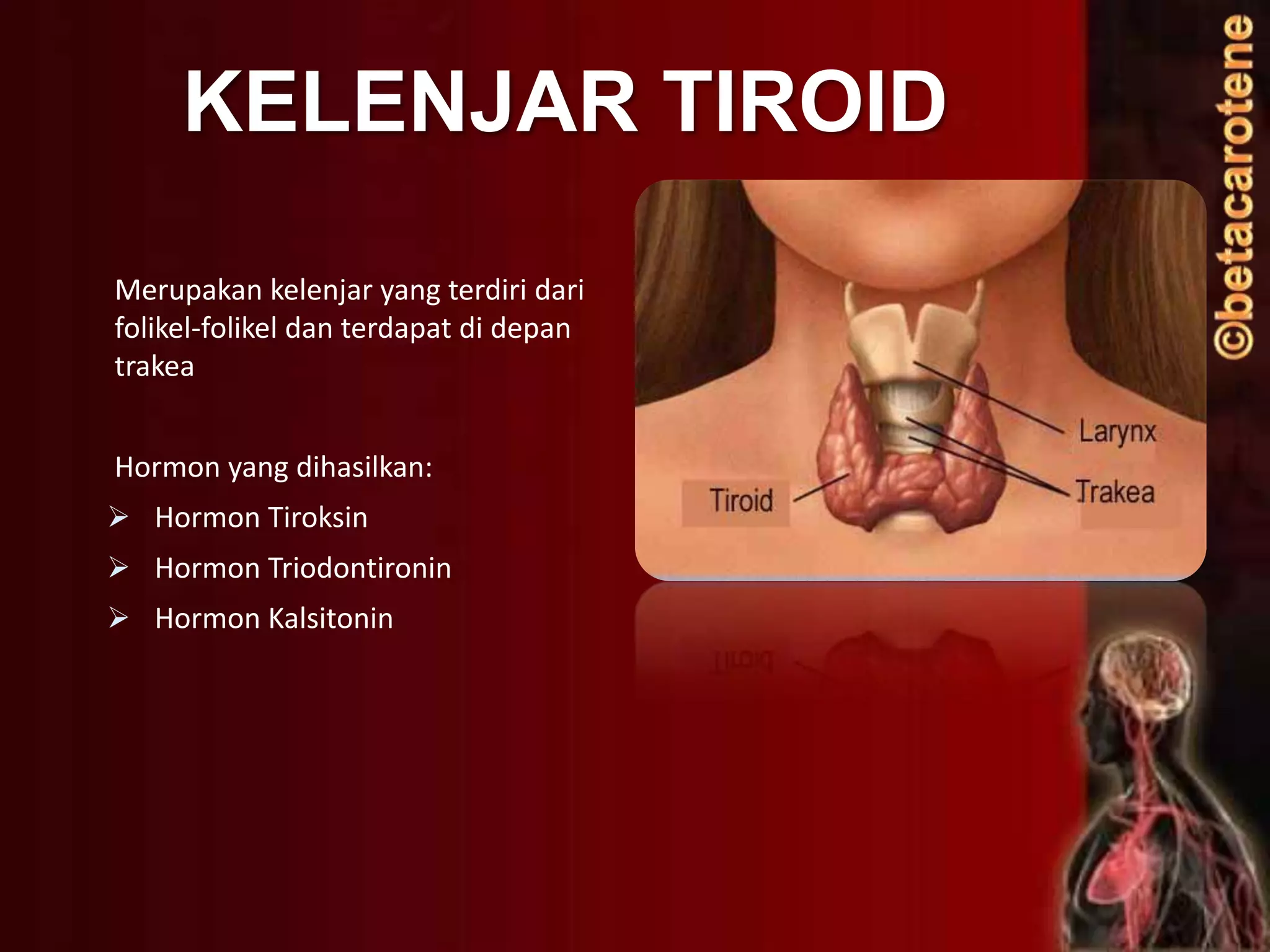 SISTEM HORMON | PPTX