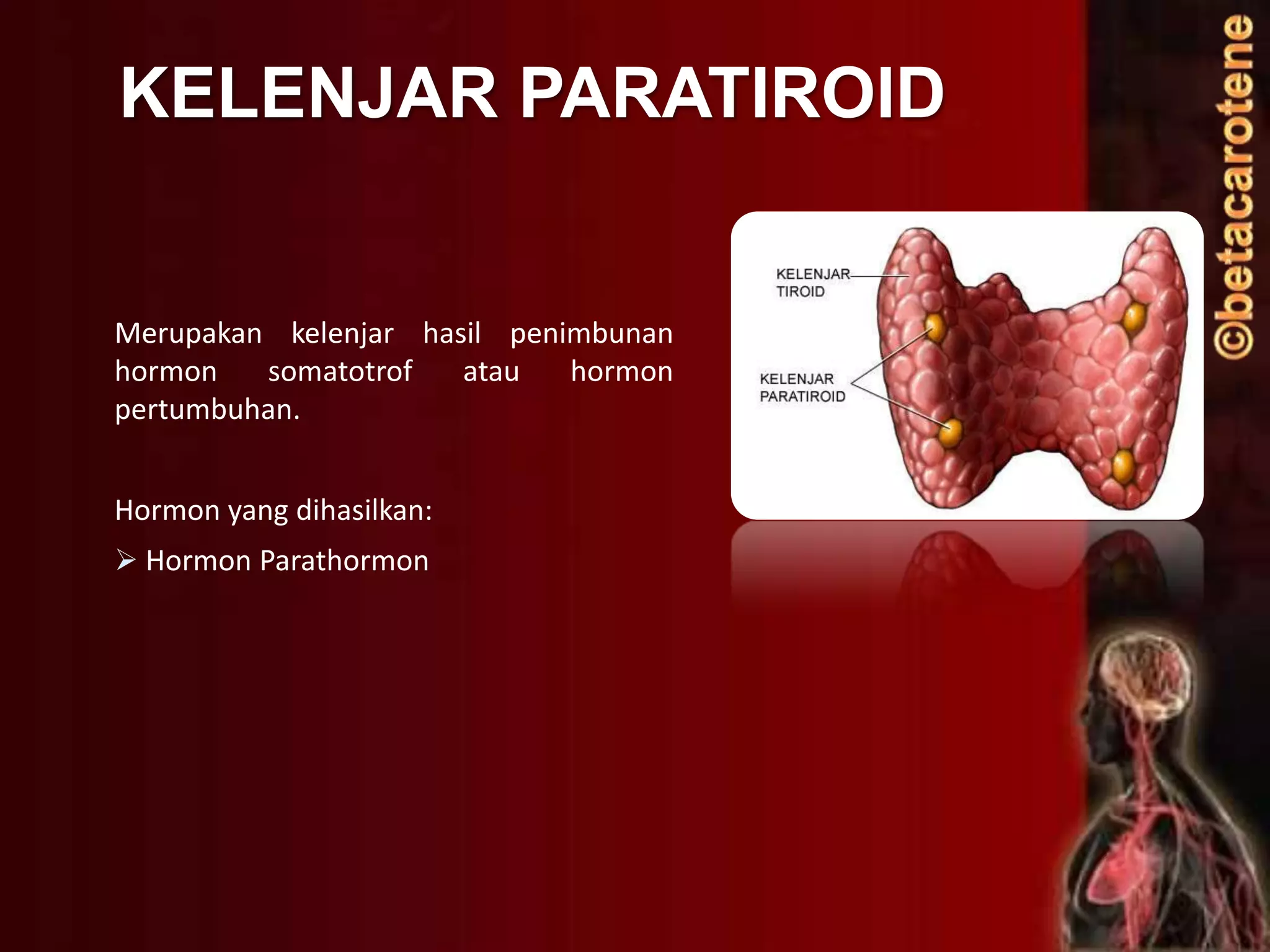 SISTEM HORMON | PPTX