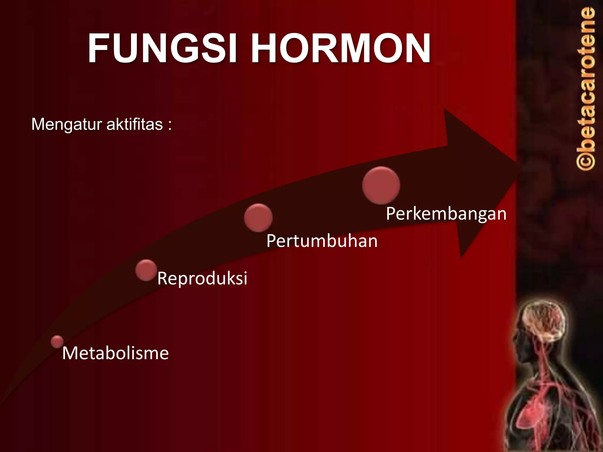 SISTEM HORMON | PPTX