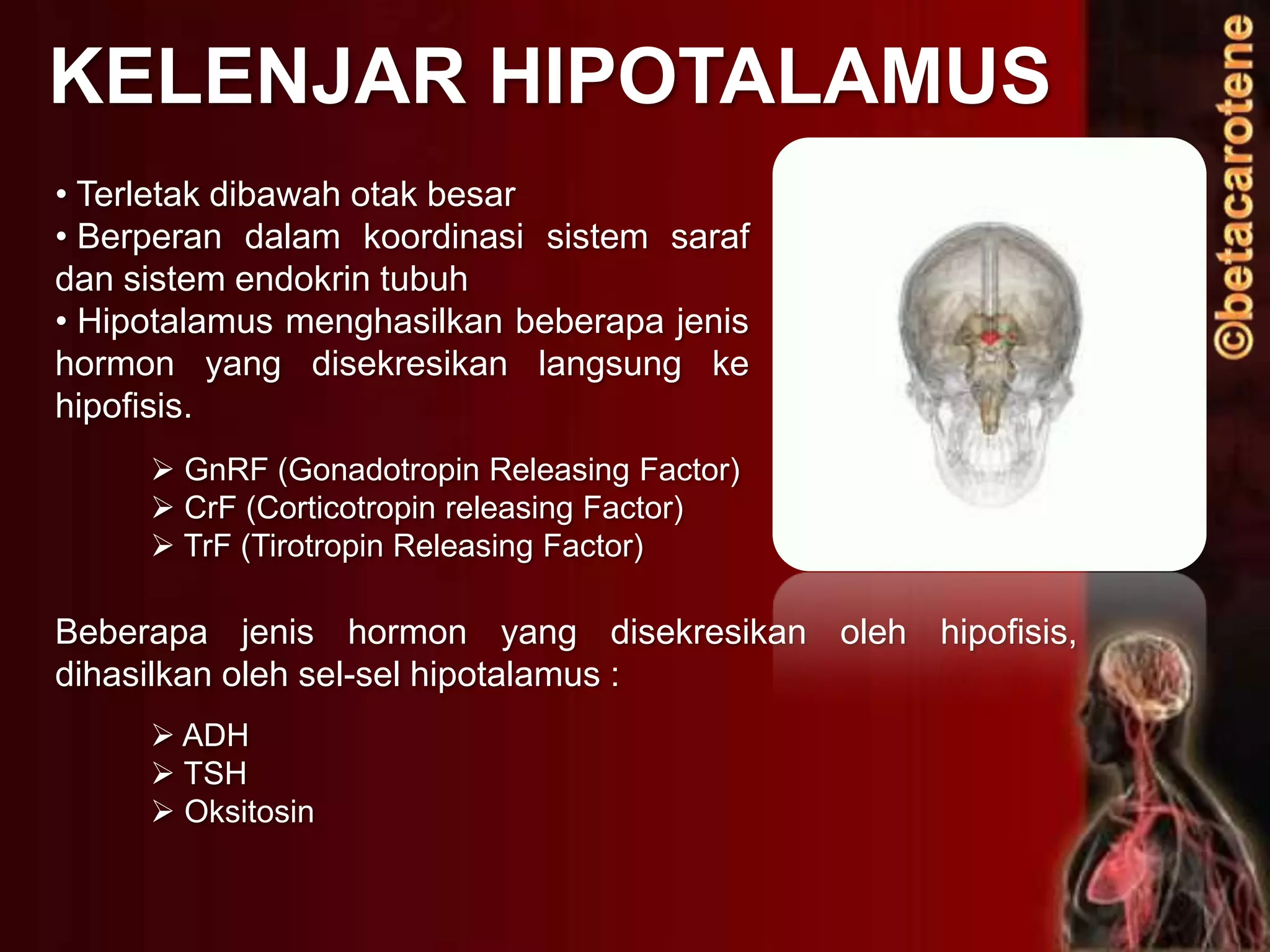 SISTEM HORMON | PPTX