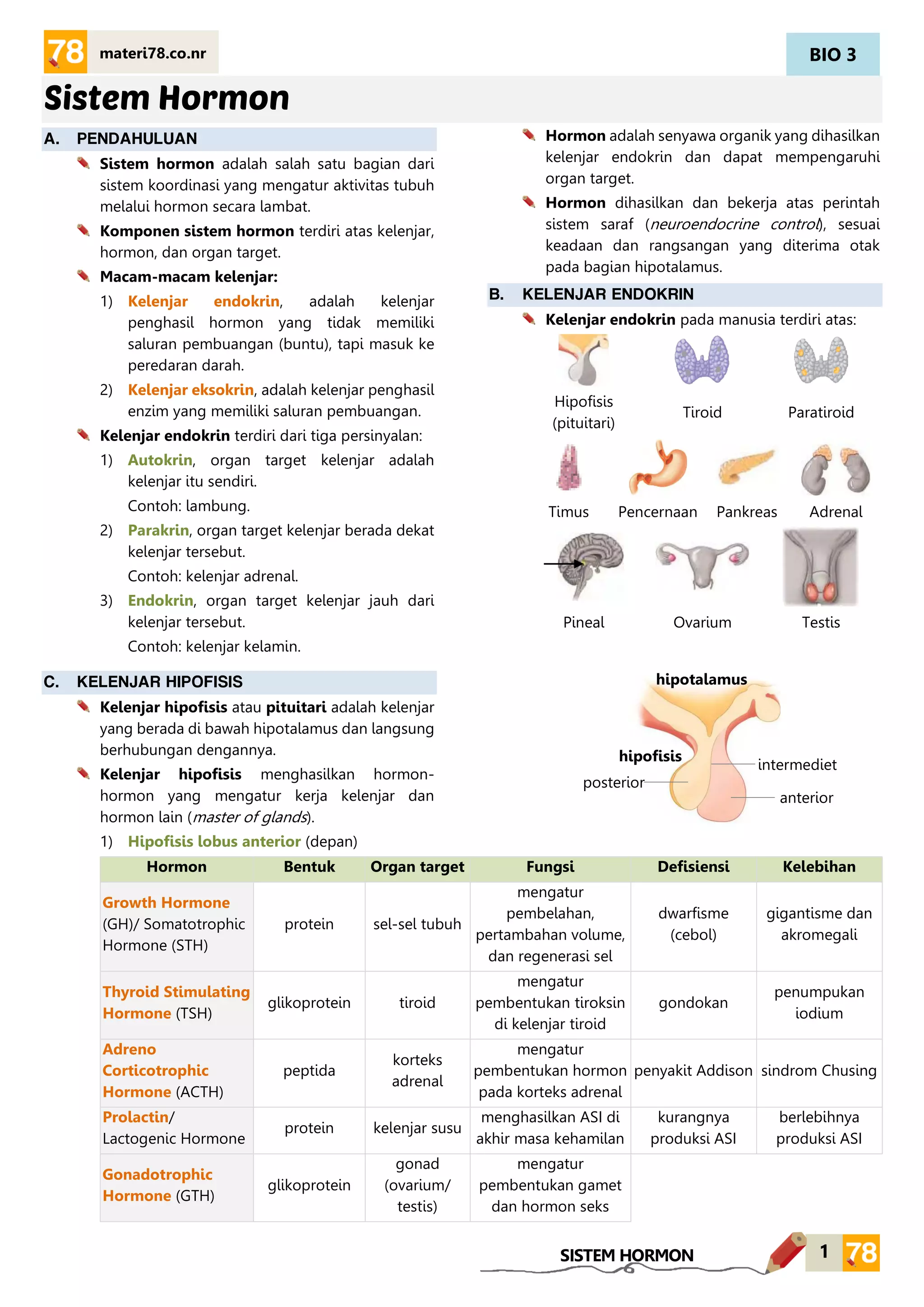 MATERI Sistem hormon KELAS XII SMA | PDF