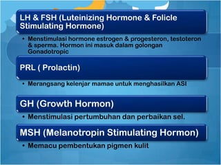 Sistem hormon biopsikologi | PPTX