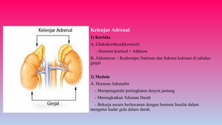 Sistem_Hormon_Pada_Manusiadanmanusia_pptx.pptx