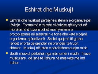 Sistemi i lëvizjes | PPT