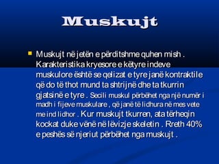 Sistemi i lëvizjes | PPT