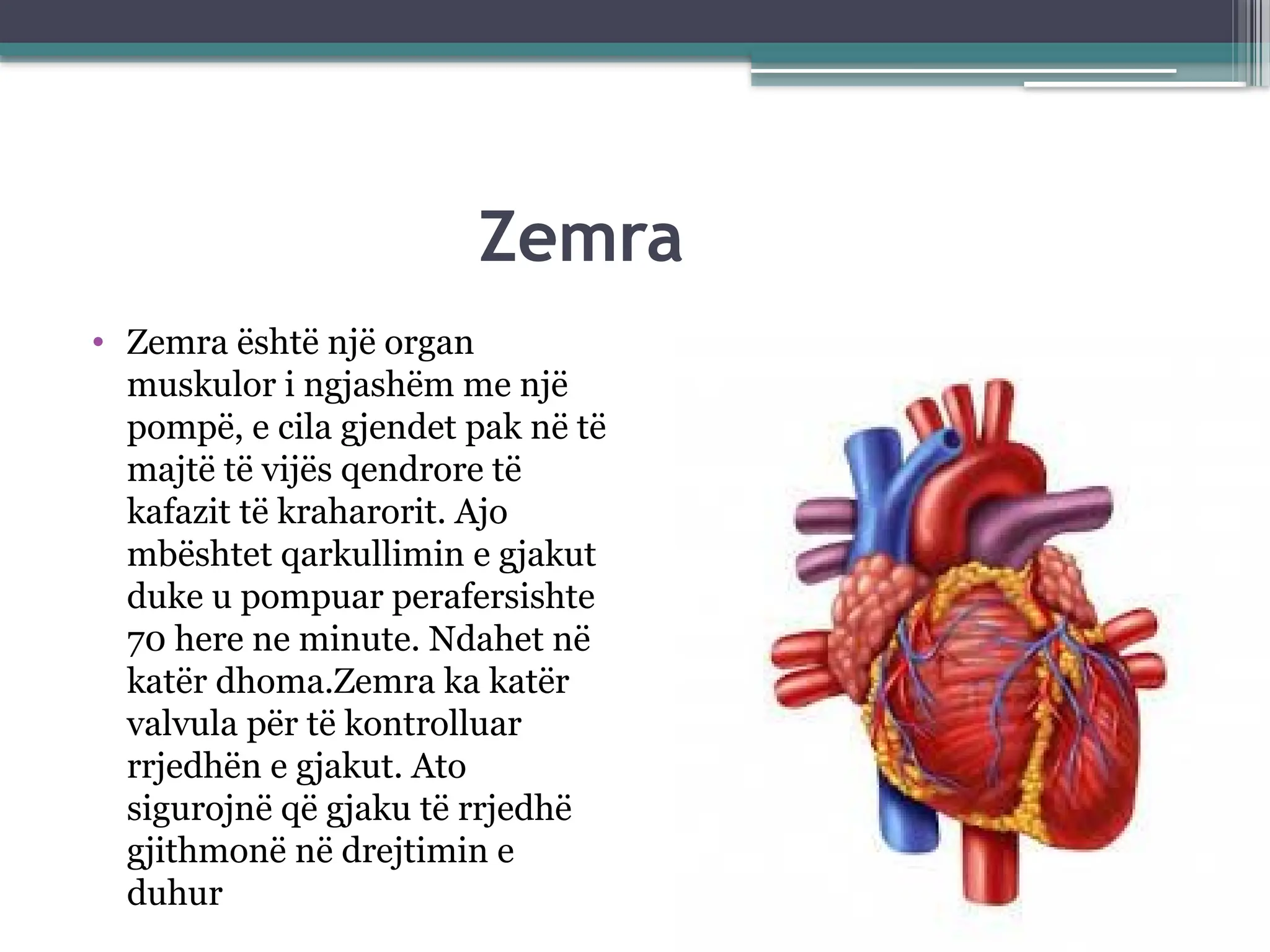 Sistemi i qarkullimit te gjakut biologji.pptx
