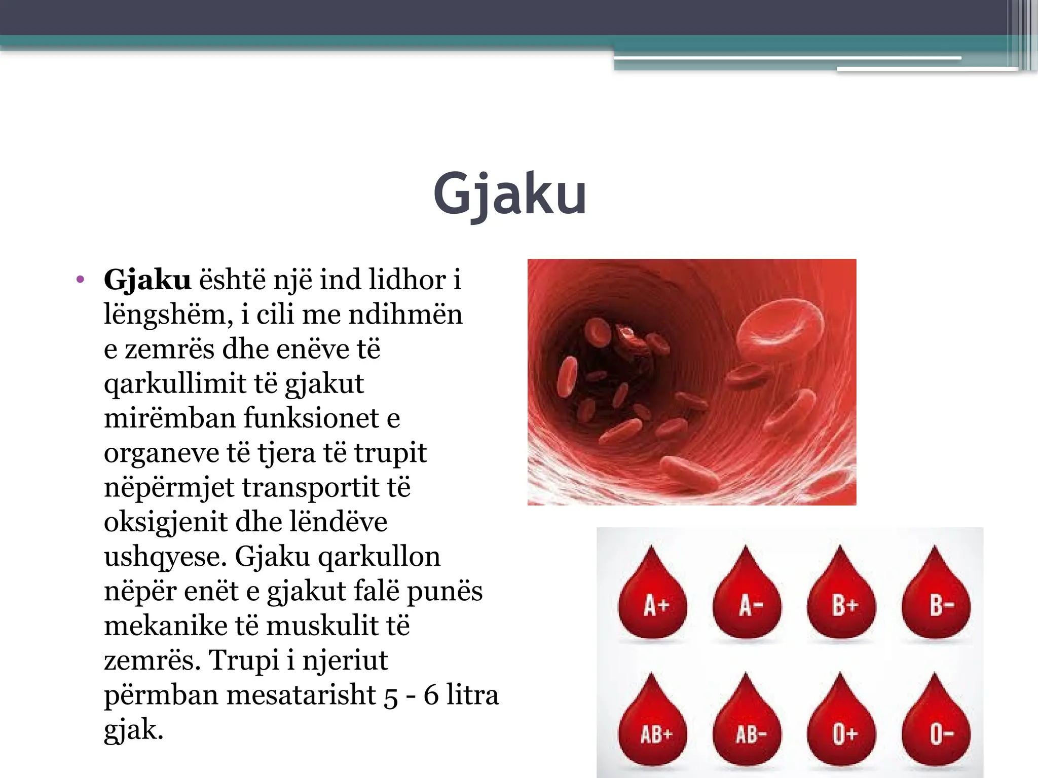 Sistemi i qarkullimit te gjakut biologji.pptx