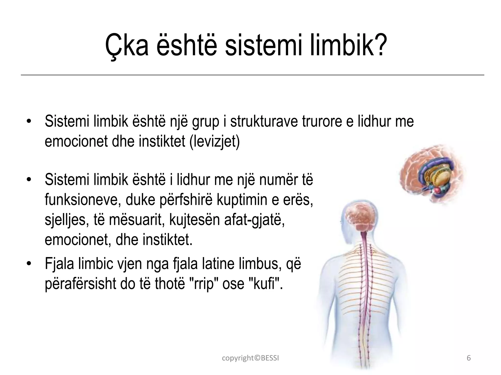 Sistemi limbik dhe menyra se si funksionon | PPT