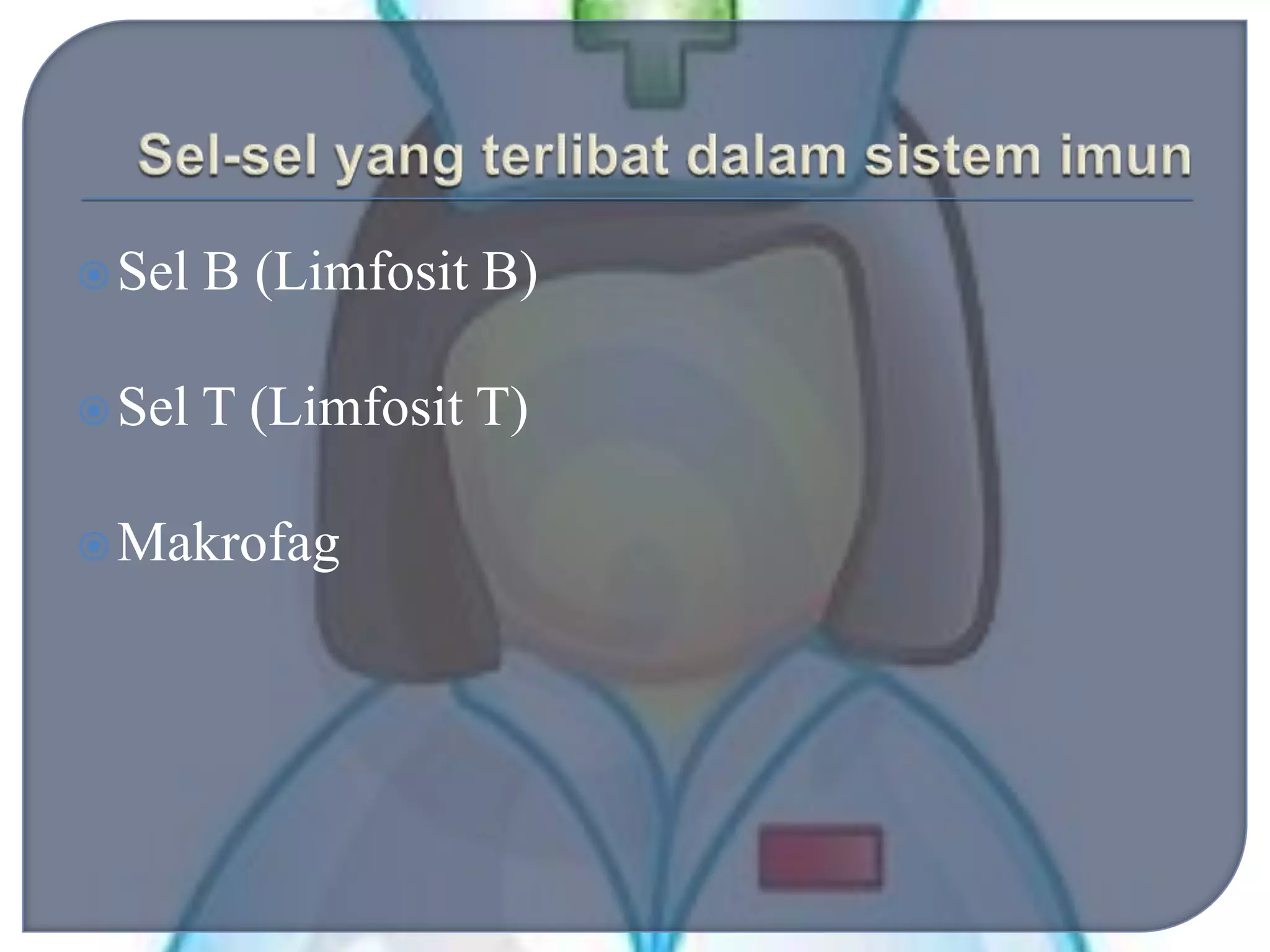 Anatomi Sistem imun | PPTX
