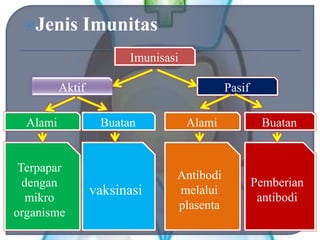 Anatomi Sistem imun | PPTX