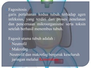 Anatomi Sistem imun | PPTX