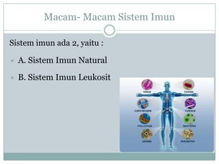 Sistem imun | PPTX