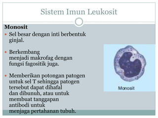 Sistem imun | PPT