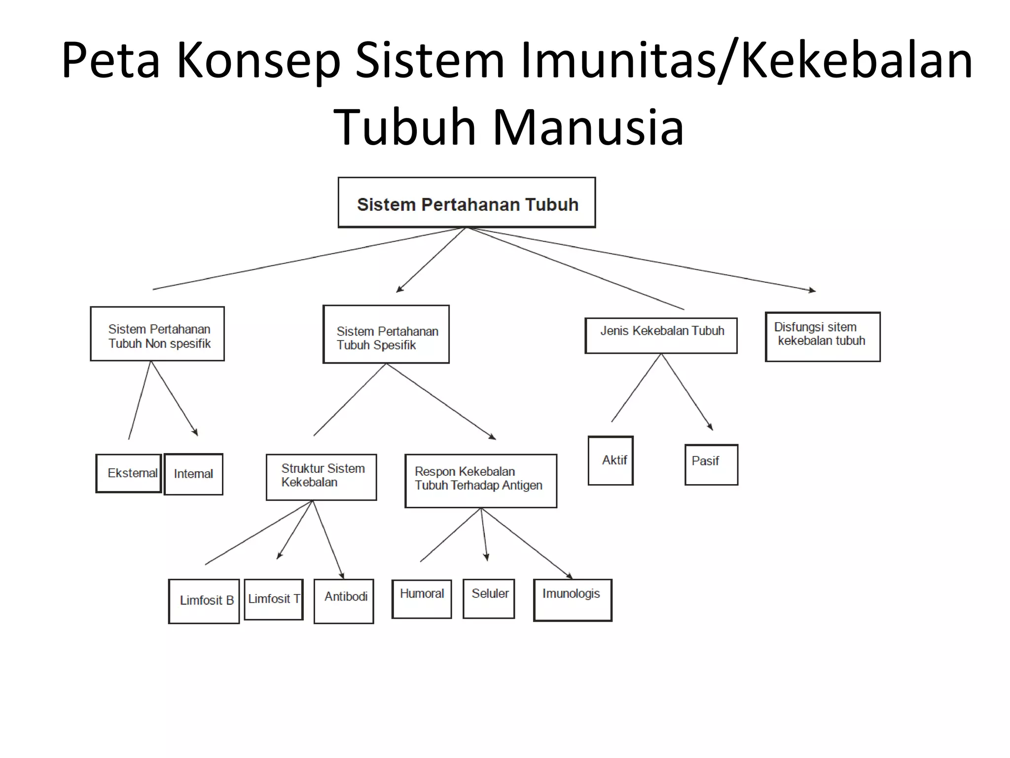 Sistem Imun by putri rizki ananda | PPT