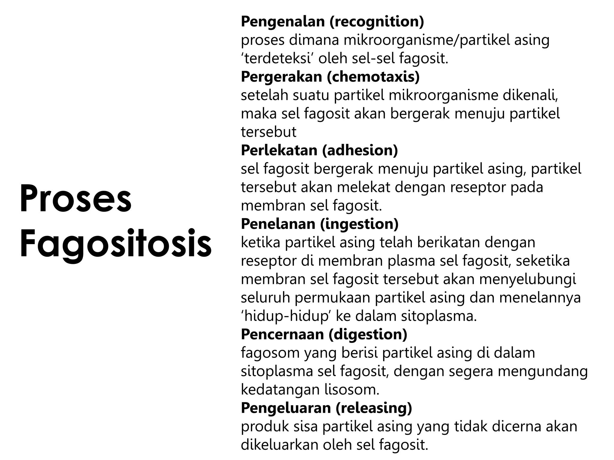 The Lord Of The Immune System : Sistem Imun | PPTX