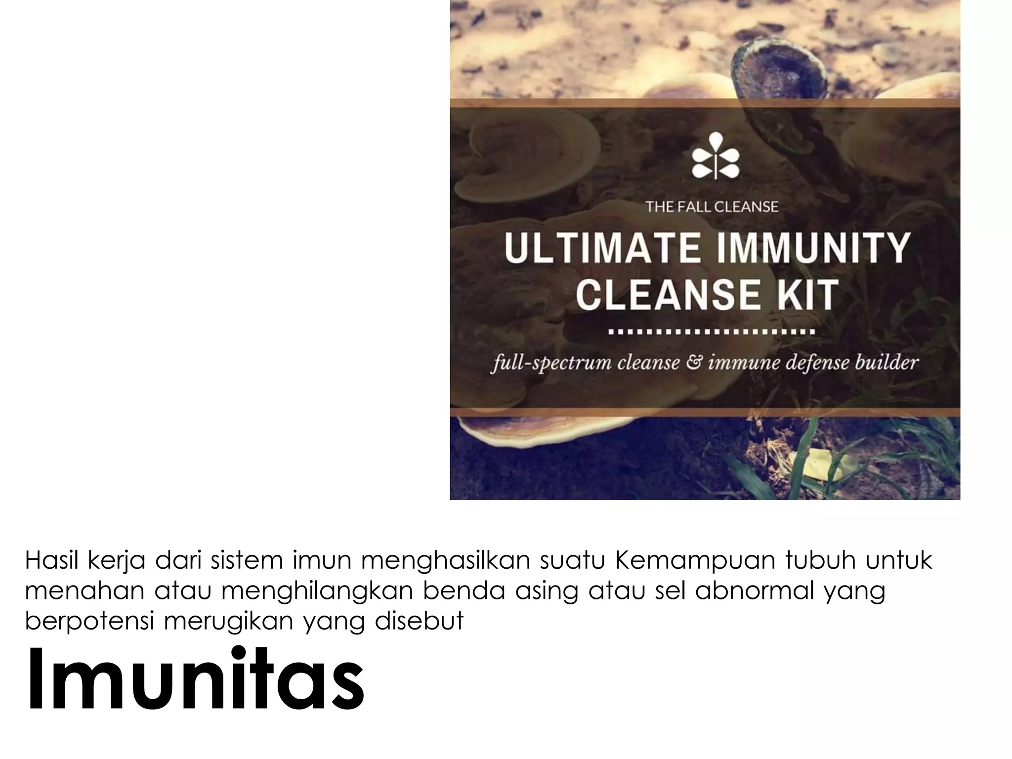 The Lord Of The Immune System : Sistem Imun | PPTX