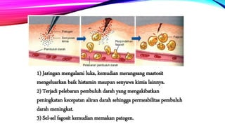 Sistem Kekebalan Tubuh | PPTX