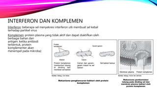 Sistem Kekebalan Tubuh | PPTX