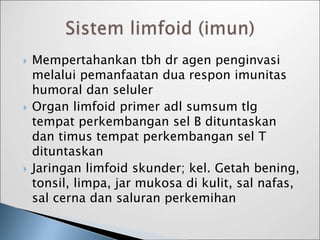 anatomi fisiologi sistem imunologi dan ketahanan tubuh | PPT