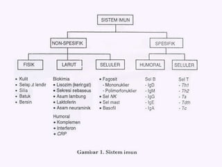 anatomi fisiologi sistem imunologi dan ketahanan tubuh | PPT