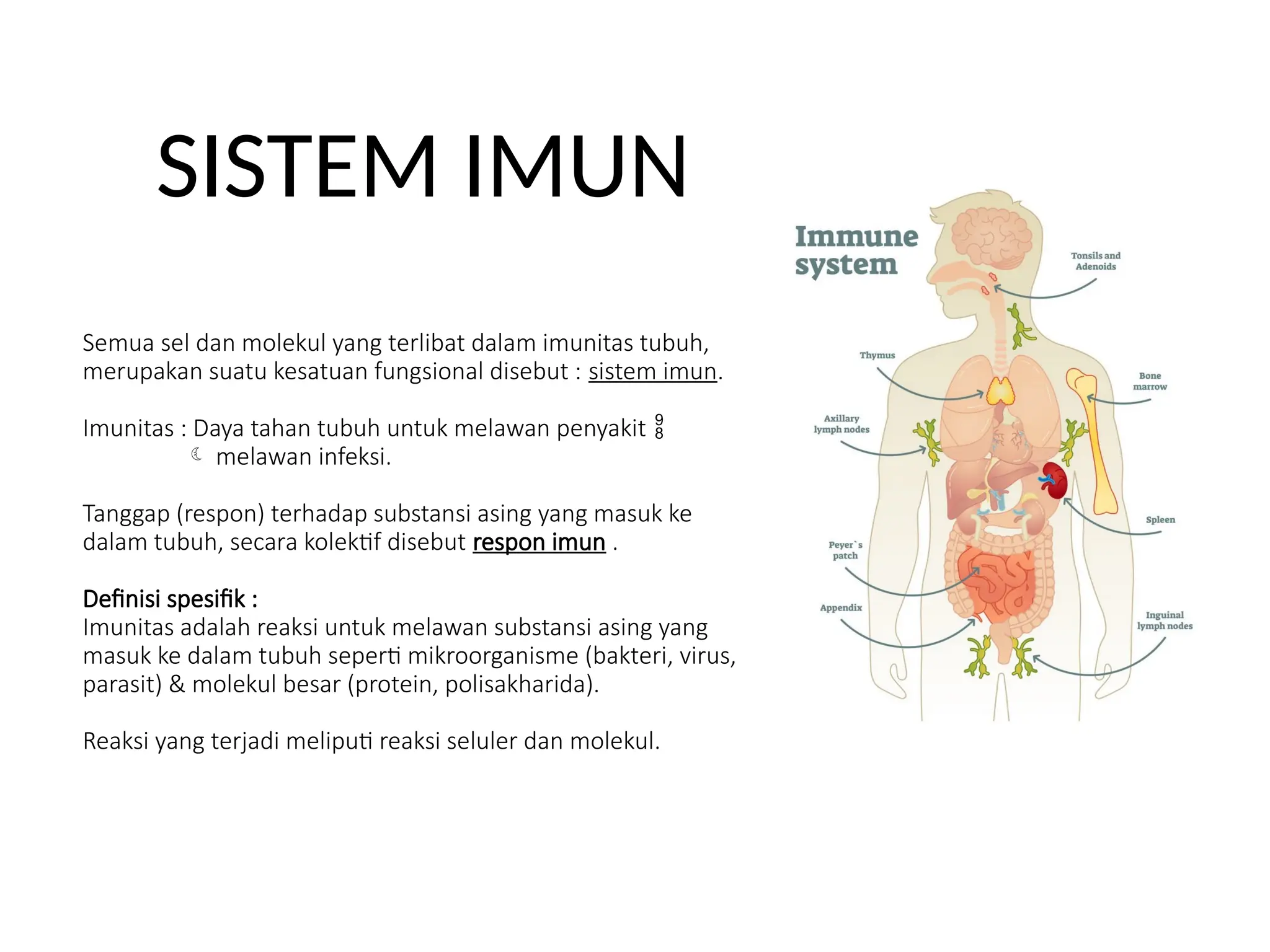 Materi biomedik Sistem Imunitas tubuh.pptx