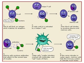 Materi biomedik Sistem Imunitas tubuh.pptx