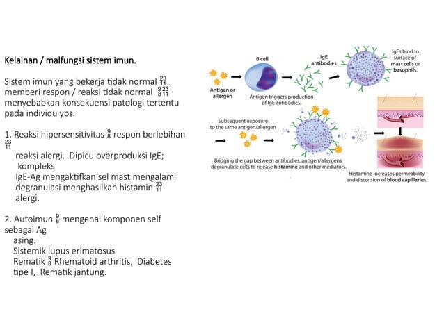 Materi biomedik Sistem Imunitas tubuh.pptx