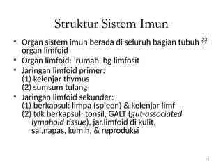 SISTEM_IMUN xfxfhdydytdufdufuigouihpiujp[ip[kip[l | PPTX