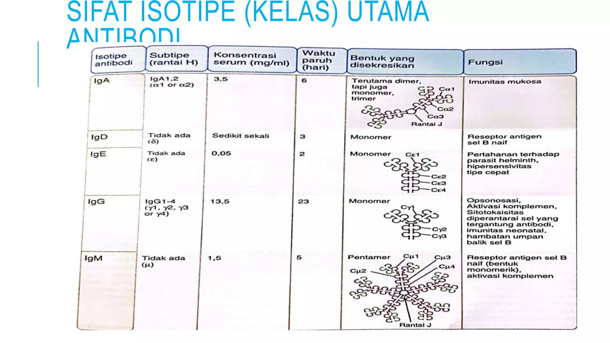 Sistem imun adaptif.pptx