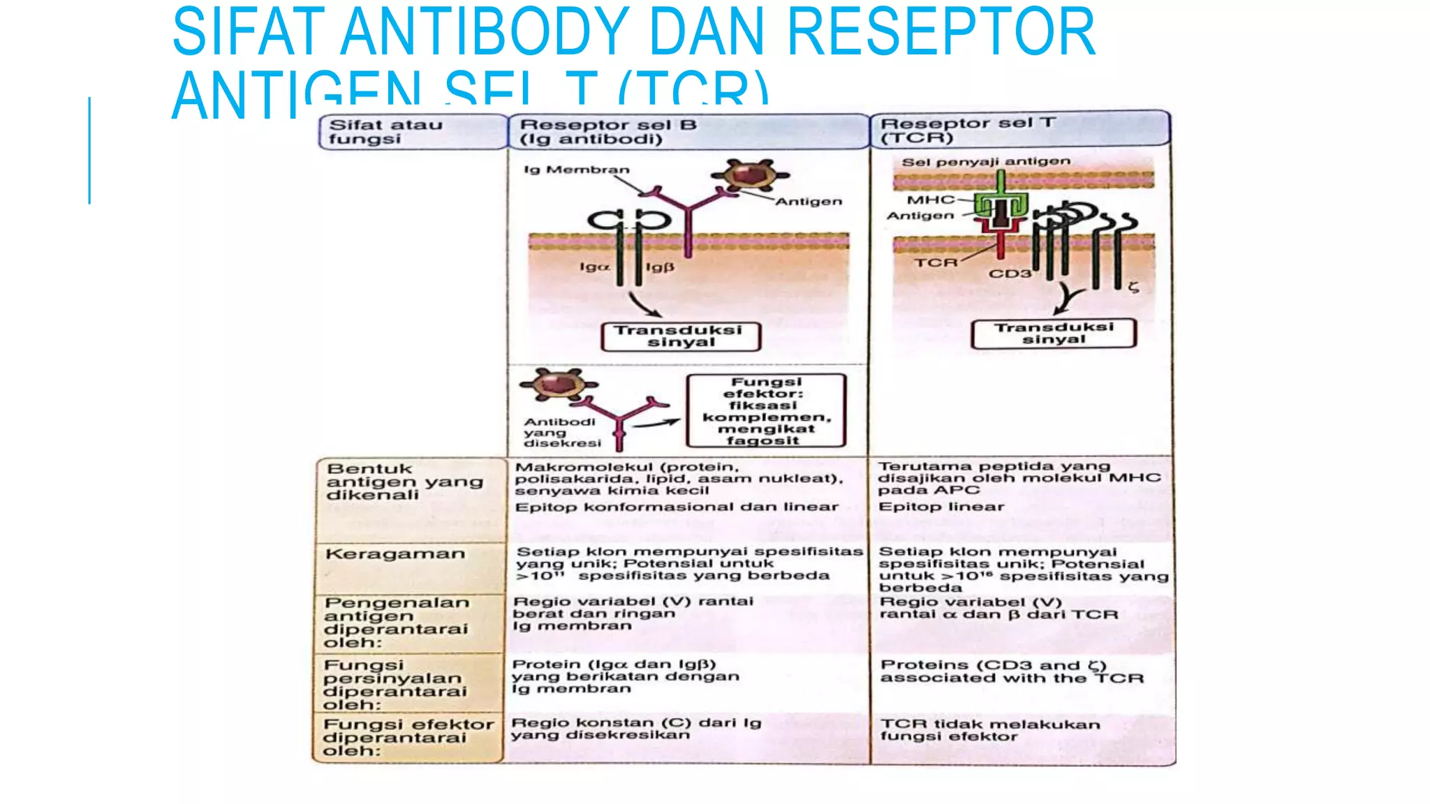 Sistem imun adaptif.pptx