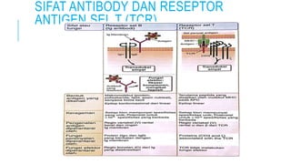 Sistem imun adaptif.pptx