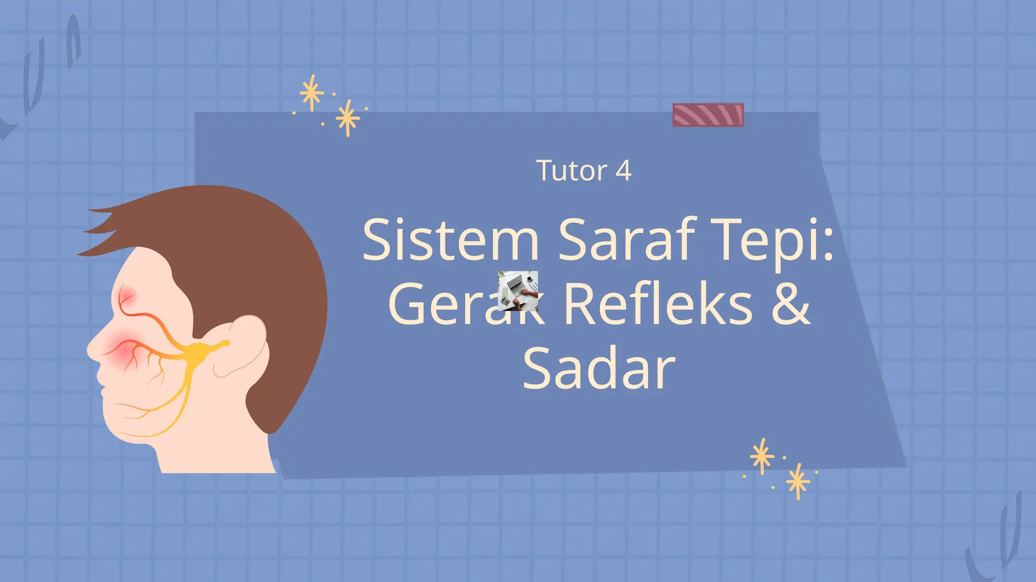Sistem Saraf Tepi: Gerak Refleks & Sadar | PPTX