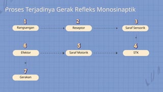 Sistem Saraf Tepi: Gerak Refleks & Sadar | PPTX